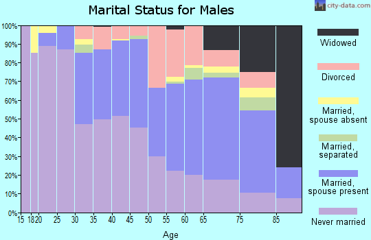 48220 Zip Code (Ferndale, Michigan) Profile - homes, apartments ...