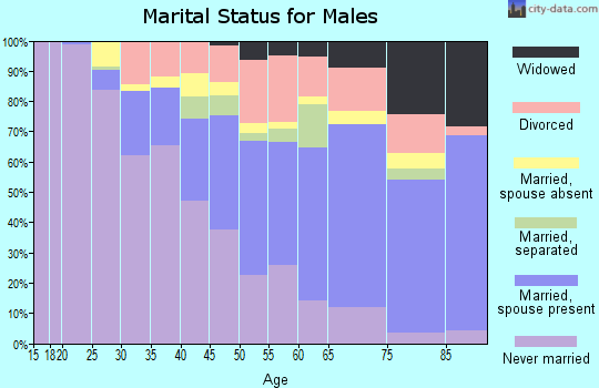 48221 Zip Code (Detroit, Michigan) Profile - homes, apartments, schools ...