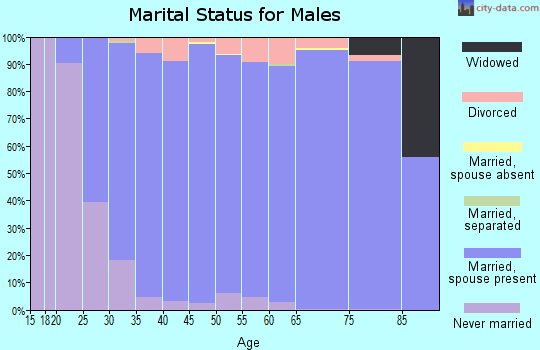 49426 Zip Code (Hudsonville, Michigan) Profile - homes, apartments ...
