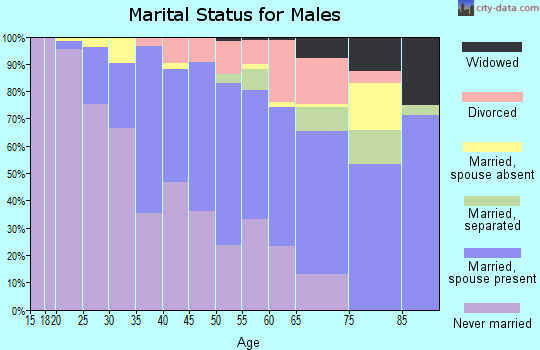 60104 Zip Code (Bellwood, Illinois) Profile - homes, apartments ...
