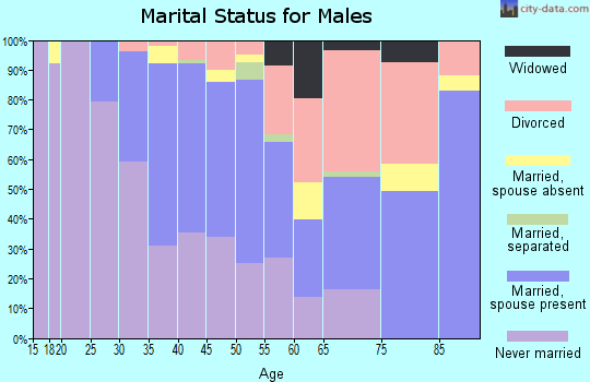 60130 Zip Code (Forest Park, Illinois) Profile - homes, apartments ...