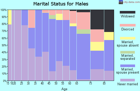 60162 Zip Code (Hillside, Illinois) Profile - homes, apartments ...