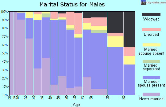 60164 Zip Code (Northlake, Illinois) Profile - homes, apartments ...