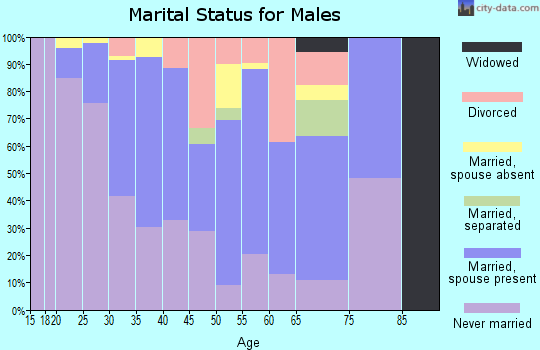60173 Zip Code (Schaumburg, Illinois) Profile - homes, apartments ...