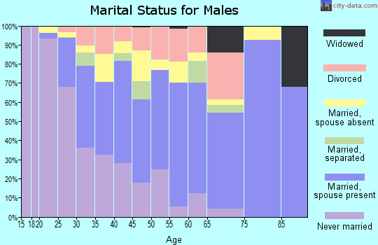 60432 Zip Code (Joliet, Illinois) Profile - homes, apartments, schools ...