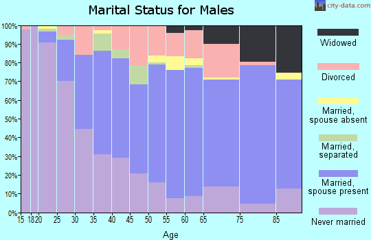 60438 Zip Code (Lansing, Illinois) Profile - homes, apartments, schools ...