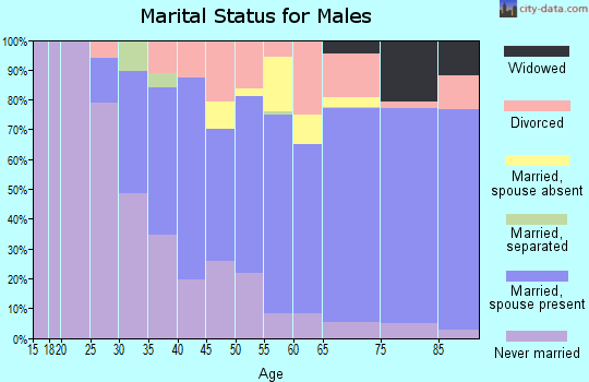 60443 Zip Code (Matteson, Illinois) Profile - homes, apartments ...