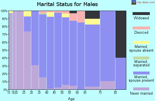 60490 Zip Code (Bolingbrook, Illinois) Profile - homes, apartments ...