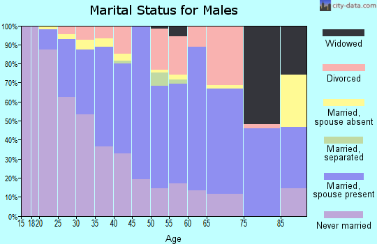 60501 Zip Code (Summit, Illinois) Profile - homes, apartments, schools ...
