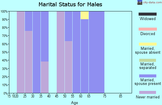60604 Zip Code (Chicago, Illinois) Profile - homes, apartments, schools ...