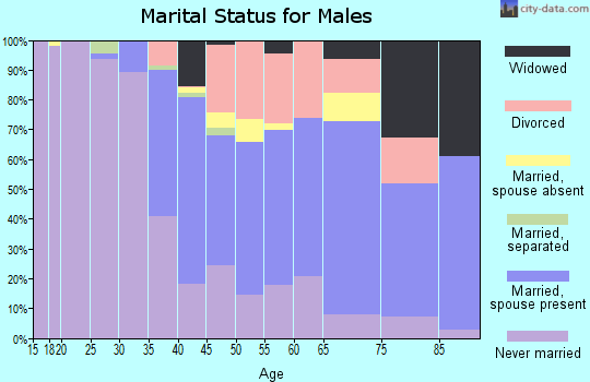 60633 Zip Code (Chicago, Illinois) Profile - homes, apartments, schools ...