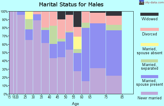 63120 Zip Code (St. Louis, Missouri) Profile - homes, apartments ...