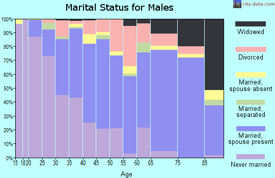 63125 Zip Code (Lemay, Missouri) Profile - homes, apartments, schools ...