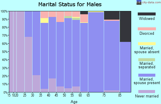 63131 Zip Code (Town and Country, Missouri) Profile - homes, apartments ...