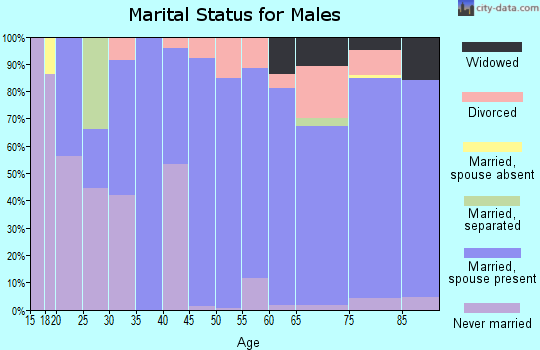 72560 Zip Code (Mountain View, Arkansas) Profile - homes, apartments ...
