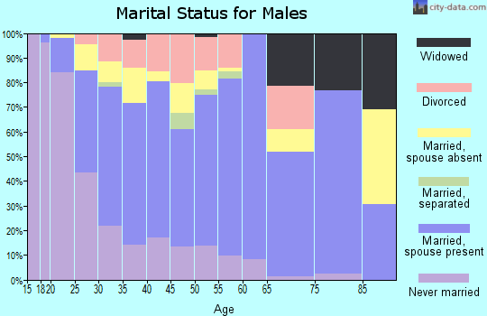 75180 Zip Code (Balch Springs, Texas) Profile - homes, apartments ...