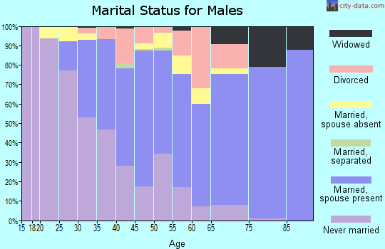 75244 Zip Code (Farmers Branch, Texas) Profile - homes, apartments ...