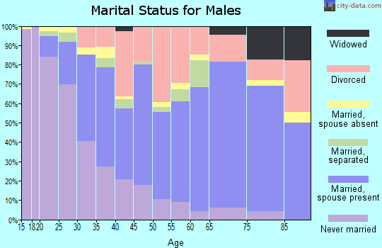 78238 Zip Code (San Antonio, Texas) Profile - homes, apartments ...