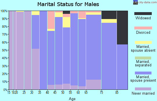 94027 Zip Code (Atherton, California) Profile - homes, apartments ...