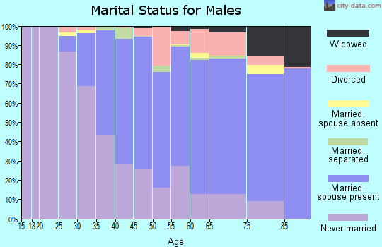 94127 Zip Code (San Francisco, California) Profile - homes, apartments ...