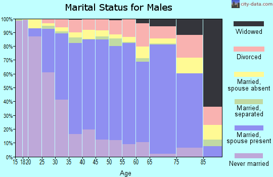 98031 Zip Code (East Hill-Meridian, Washington) Profile - homes ...