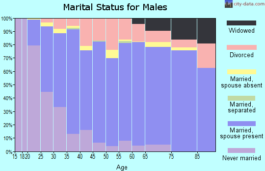 98513 Zip Code (Nisqually Indian Community, Washington) Profile - homes ...
