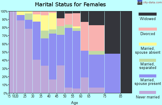 10523 Zip Code (Elmsford, New York) Profile - homes, apartments ...