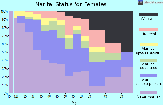 11237 Zip Code (New York, New York) Profile - homes, apartments ...