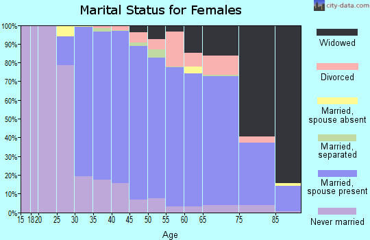 11762 Zip Code (Massapequa Park, New York) Profile - homes, apartments ...
