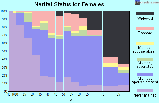 12010 Zip Code (Amsterdam, New York) Profile - homes, apartments ...