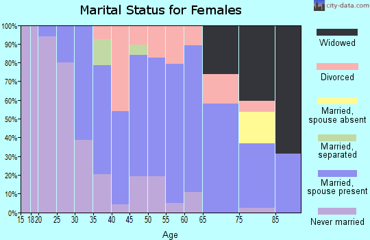12580 Zip Code (Staatsburg, New York) Profile - homes, apartments ...