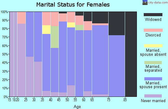 12835 Zip Code (New York) Profile - homes, apartments, schools ...