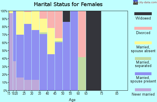 13603 Zip Code (Fort Drum, New York) Profile - homes, apartments ...