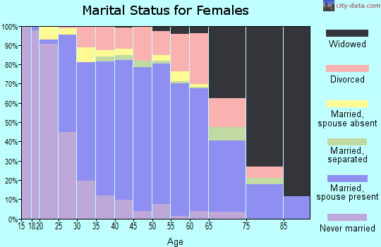 20120 Zip Code (Centreville, Virginia) Profile - homes, apartments ...