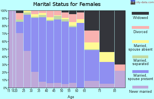 20171 Zip Code (Franklin Farm, Virginia) Profile - homes, apartments ...