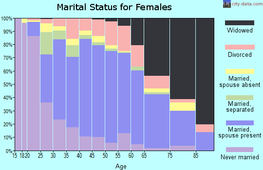 23323 Zip Code (Chesapeake, Virginia) Profile - homes, apartments ...
