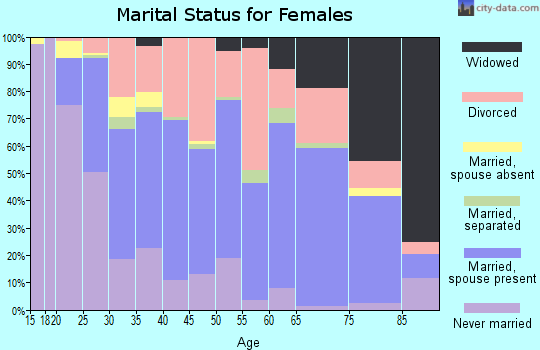 23325 Zip Code (Chesapeake, Virginia) Profile - homes, apartments ...