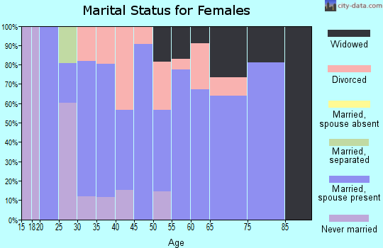 24128 Zip Code (Virginia) Profile - homes, apartments, schools ...