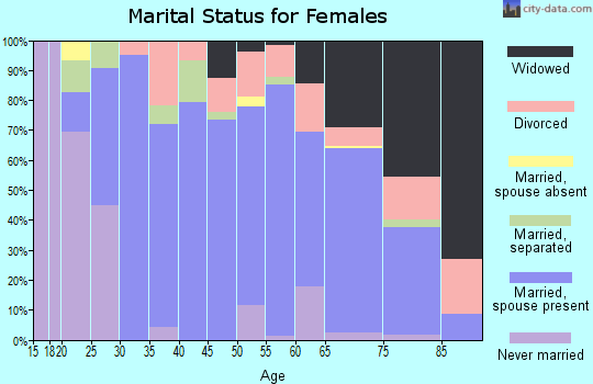 24251 Zip Code (Gate City, Virginia) Profile - homes, apartments ...