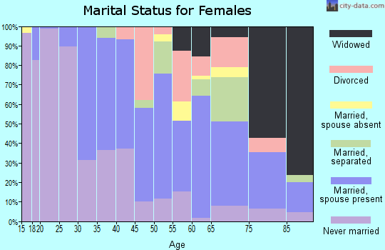 60162 Zip Code (Hillside, Illinois) Profile - homes, apartments ...